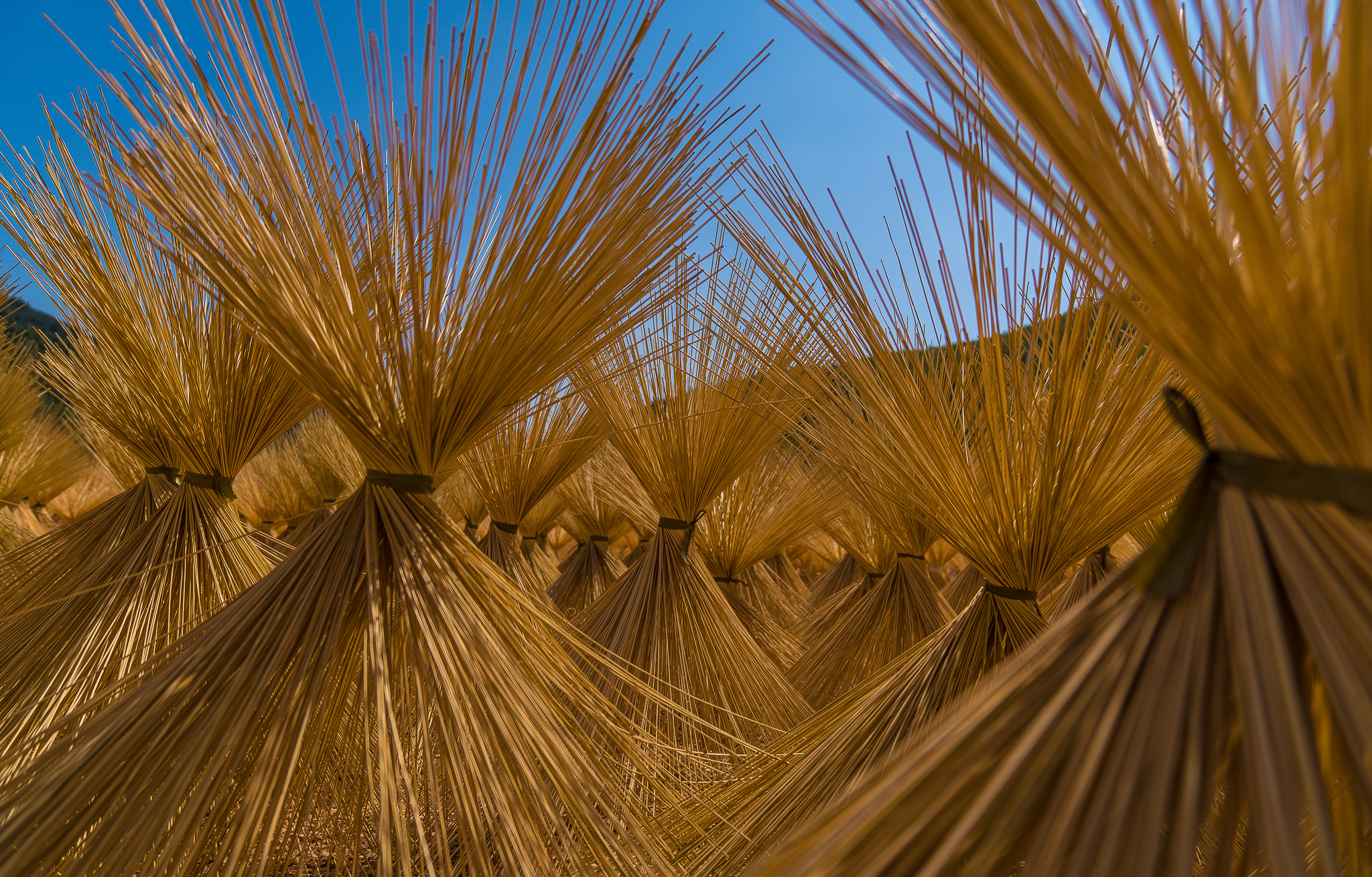 关于文字 — m4deline's blog